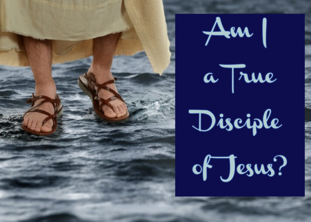 Am I a True Disciple of Jesus? - Rosendale Christian Church