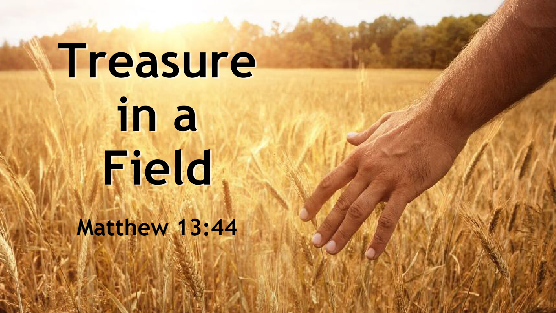 Treasure in a Field - Rosendale Christian Church